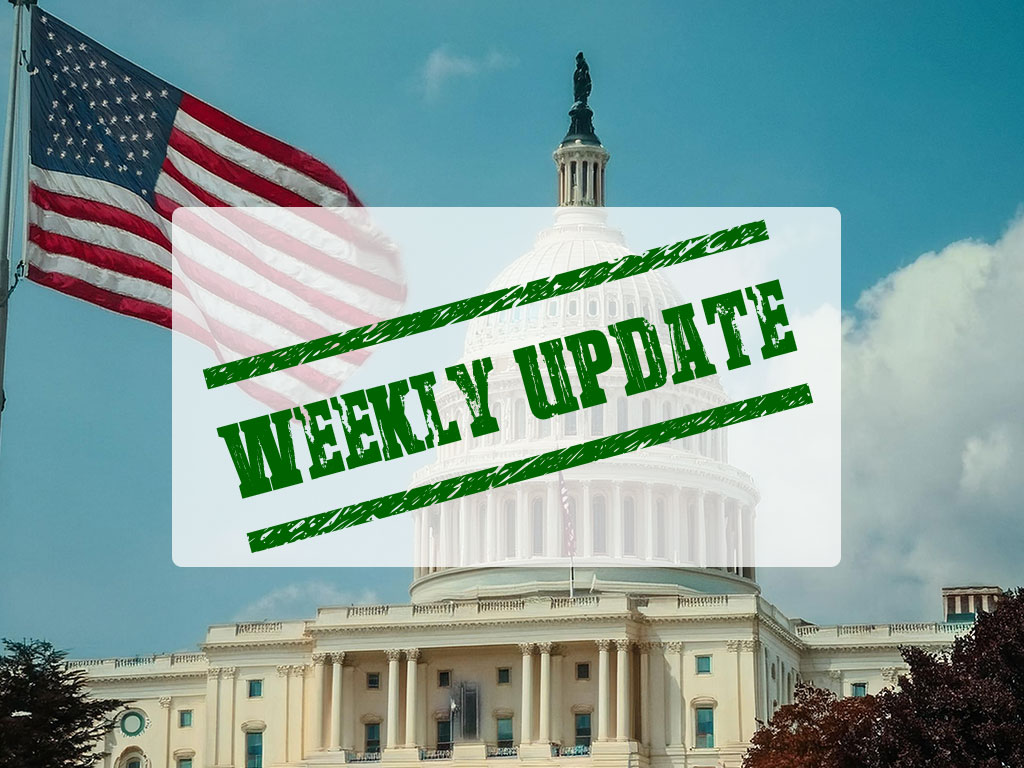 Weekly Washington Update: Leadership Votes Shape 119th Congress: What ...